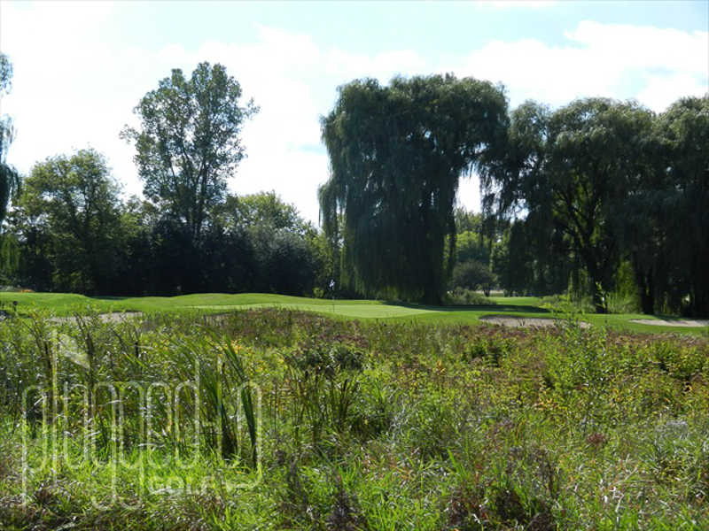 Highlands Golf Course Grand Geneva (5) - Plugged In Golf