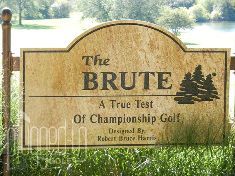 The Brute Grand Geneva (4) - Plugged In Golf