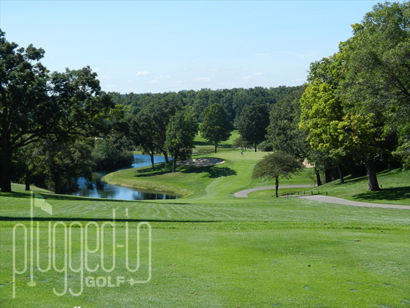 The Brute Grand Geneva (7) - Plugged In Golf