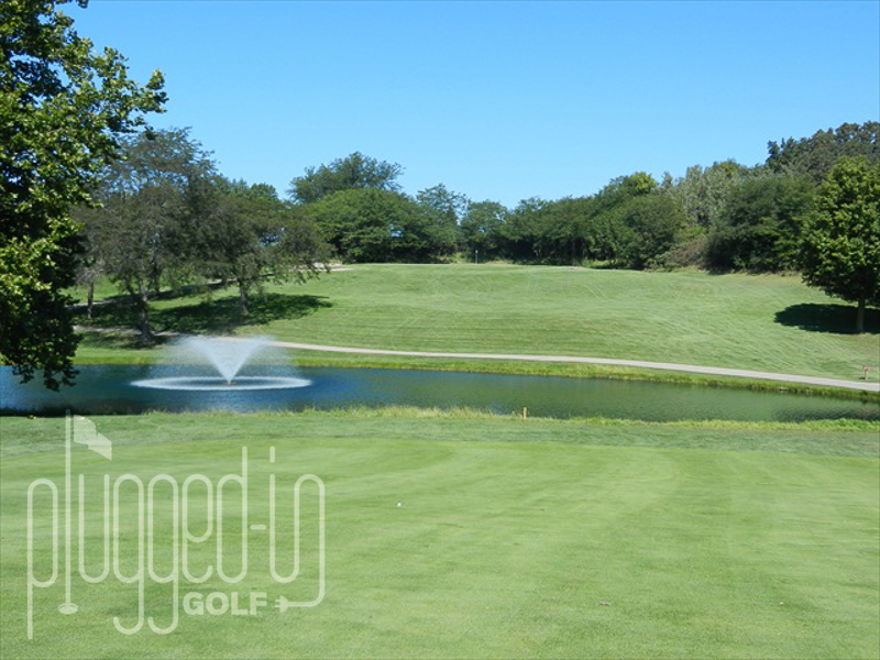The Brute Grand Geneva (8) - Plugged In Golf