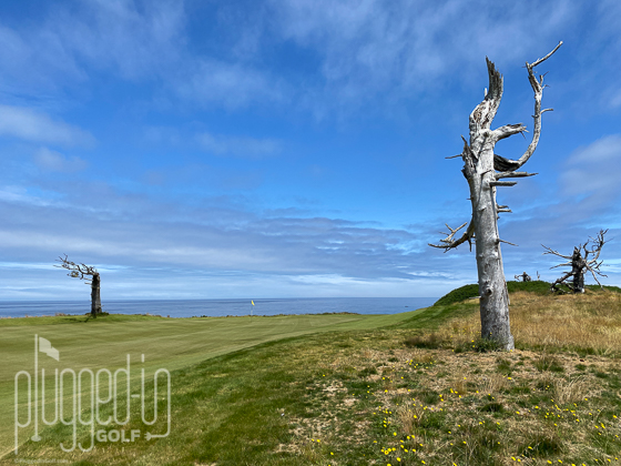 Sheep Ranch Golf Course Review - Plugged In Golf