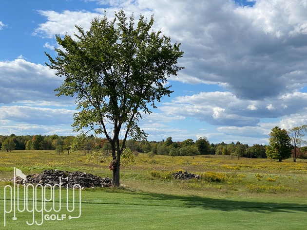 Sage Run Golf Course Review - Plugged In Golf