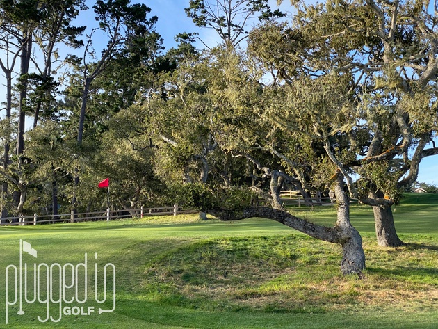 The Hay Golf Course_5993 - Plugged In Golf