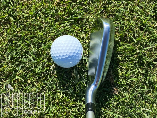 TaylorMade Stealth DHY Review - Plugged In Golf