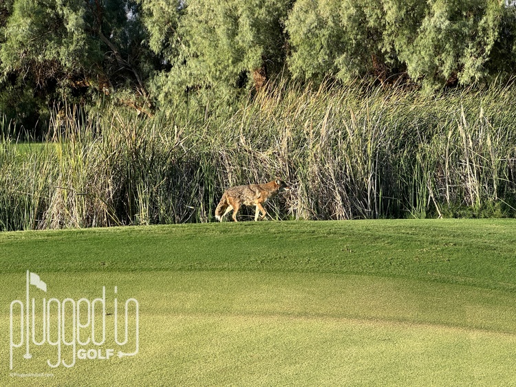 Furnace Creek Golf Course at Death Valley Review - Plugged In Golf