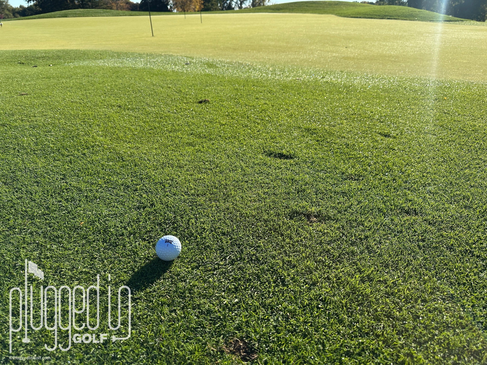Putting vs. Chipping - The Definitive Guide - Plugged In Golf