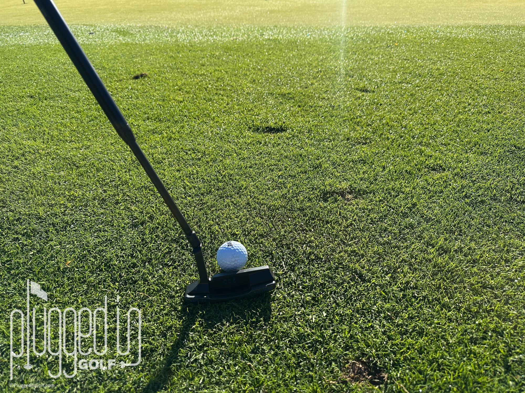 Putting vs. Chipping - The Definitive Guide - Plugged In Golf