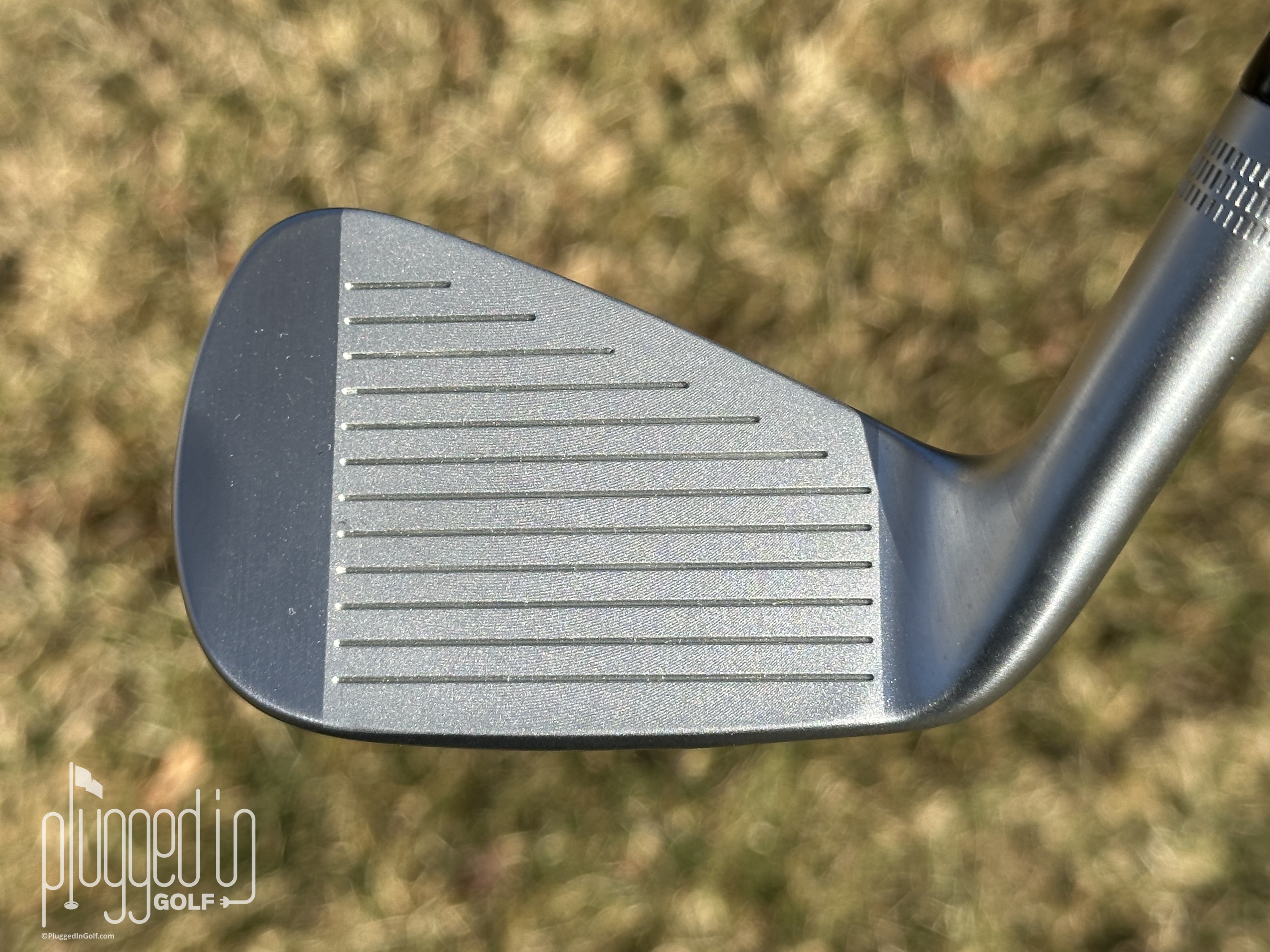 2026 Wilson Staff Model Blade Irons Review - Plugged In Golf